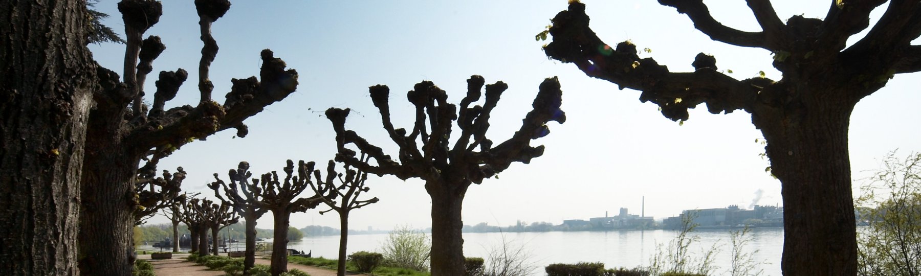 Startseite | Startseite