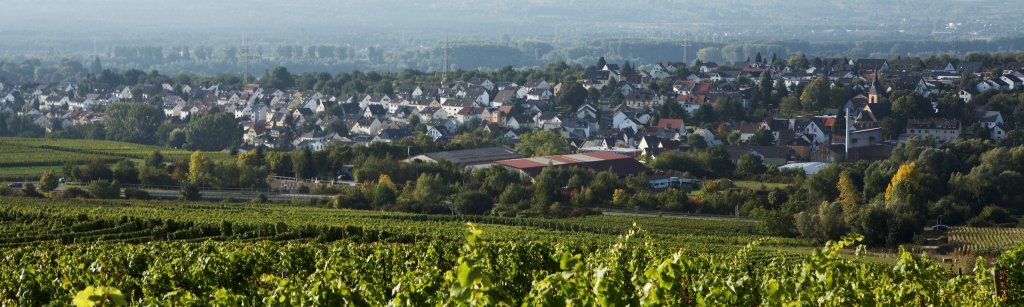 Startseite | Startseite