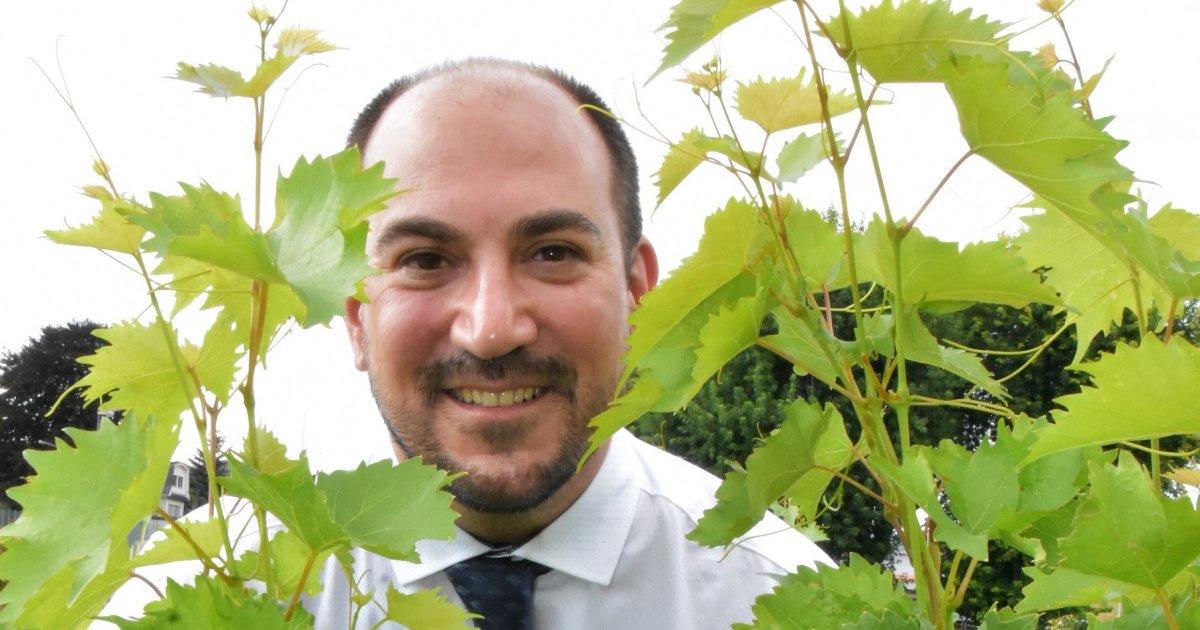 Traditionelles Weinfest geht als „Wallufer Wein am Rhein“ an den Start ...